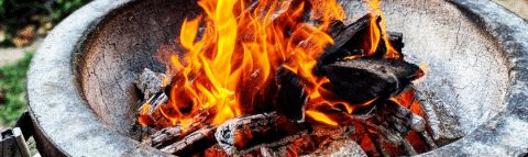 What is the best braai wood? | The Firewood Company
